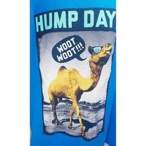 Geico Hump Day
